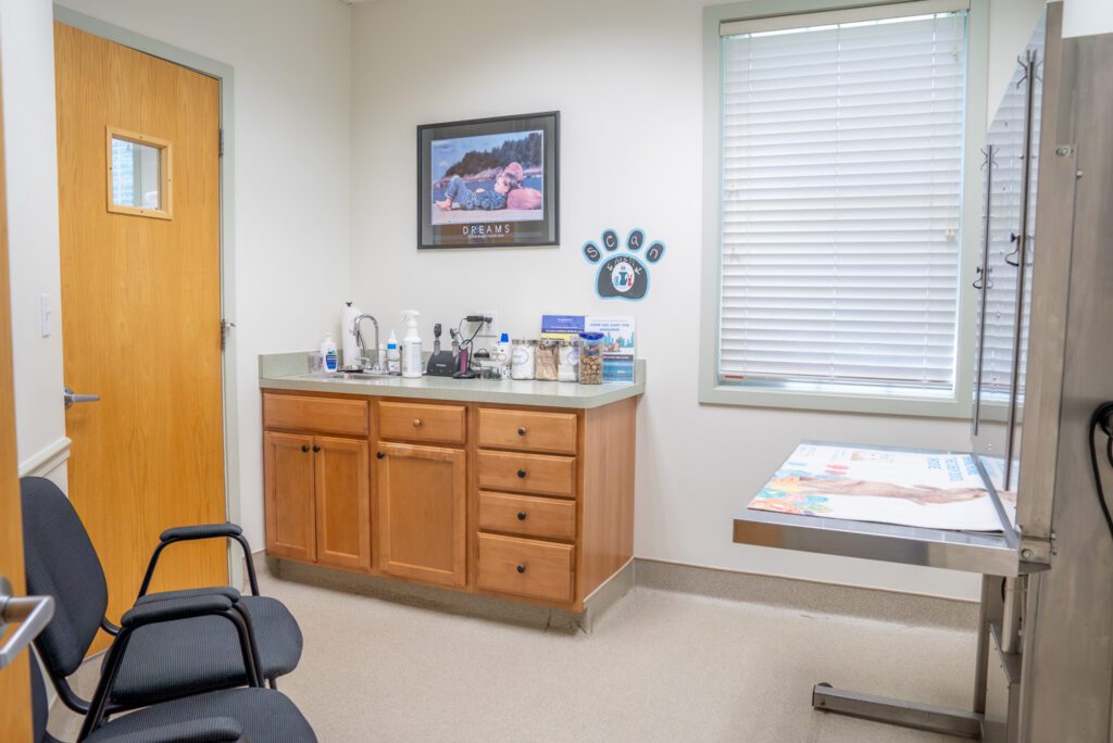 Veterinary Appointment In Shelton, CT 06484 | Shelton Veterinary Center