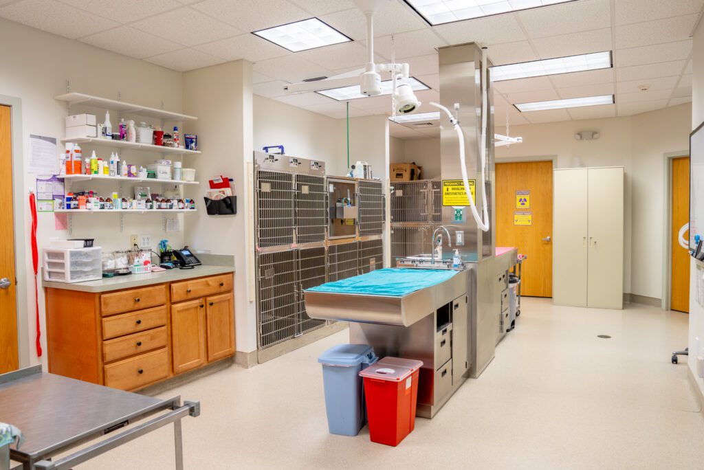 Pet In-House Laboratory In Shelton, CT 06484 | Shelton Veterinary Center